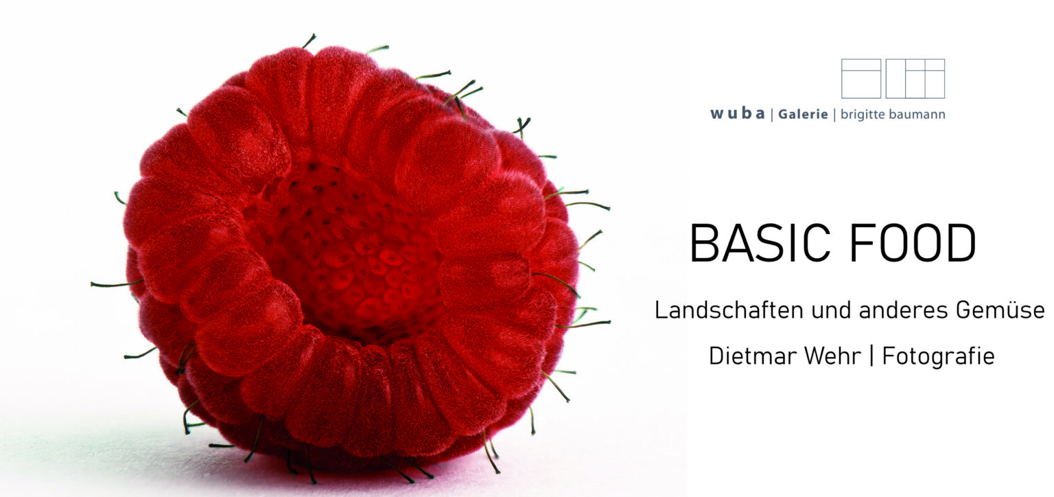 Wuba-Galerie Brigitte Baumann